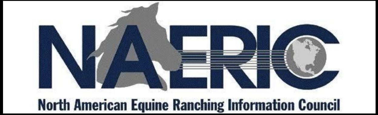 DCF PERFORMANCE HORSES